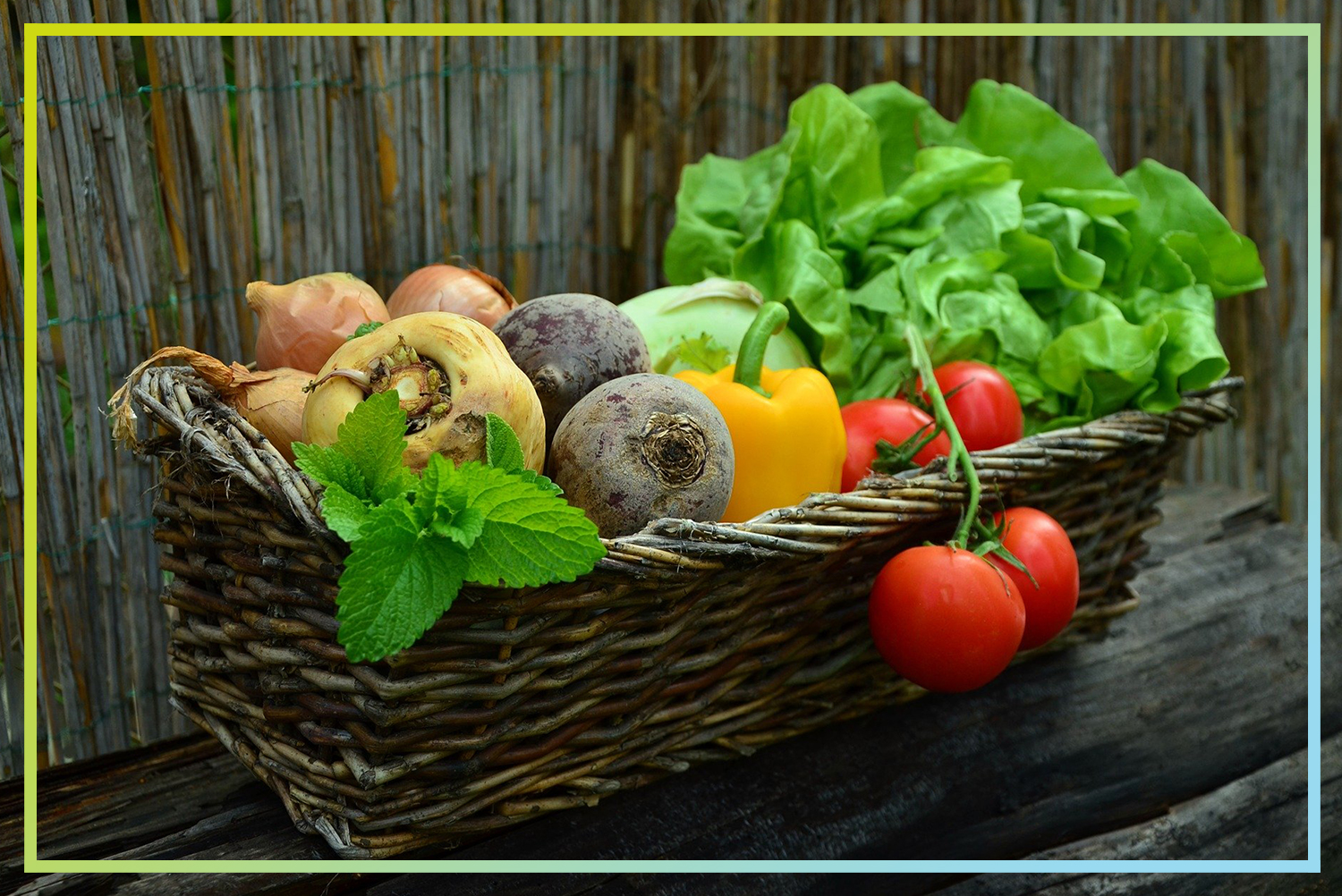 Wie foodsharing Lebensmittel rettet - von foodsharing Leipzig - Veggienale